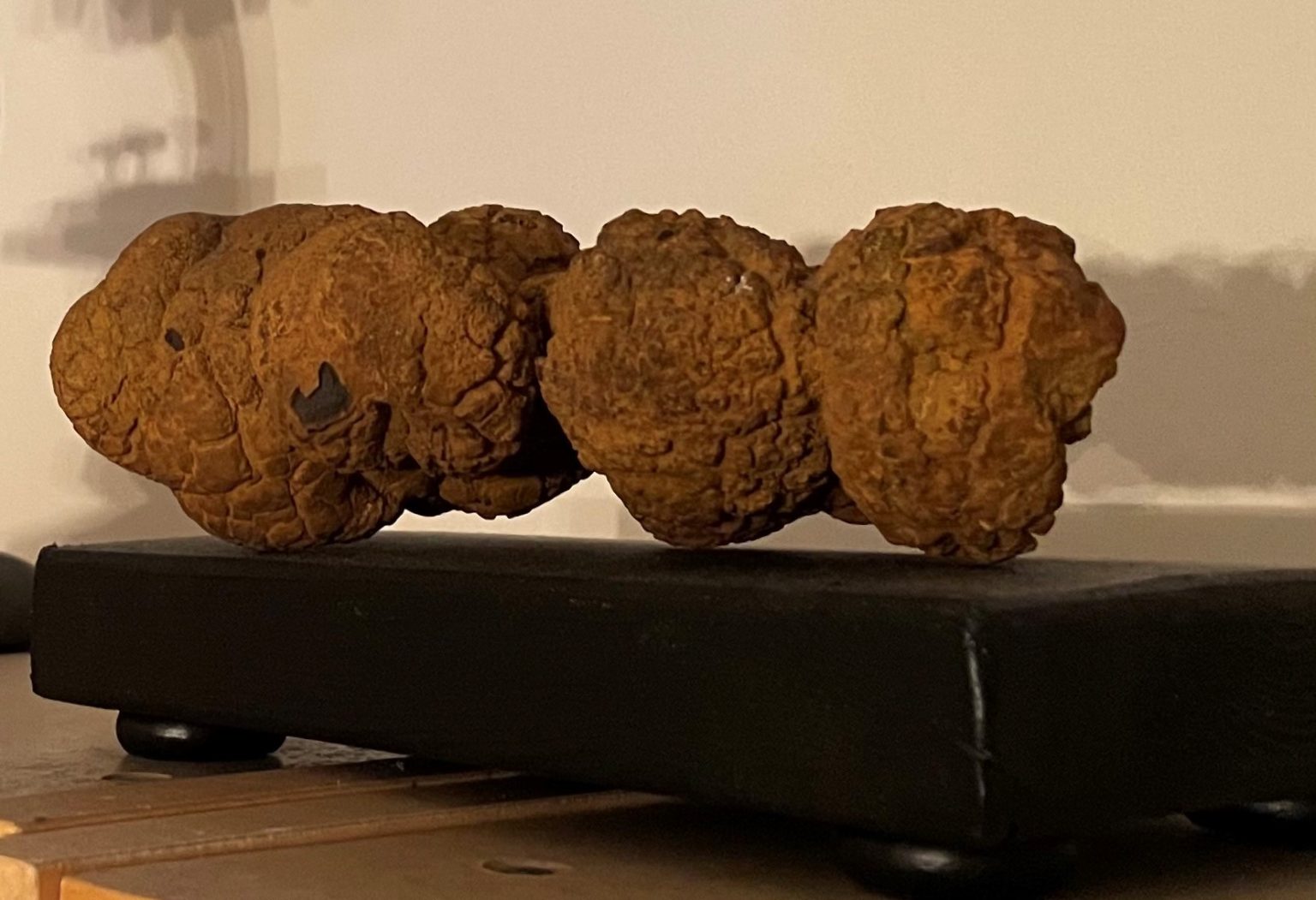 Hur att bajsa i skog och mark - Ävenflykter